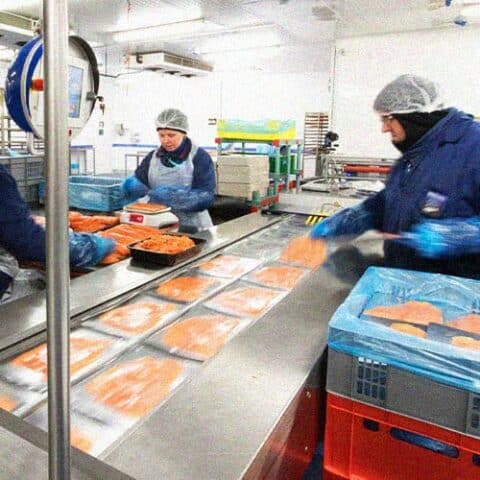 Qui sommes nous ? - Sodial